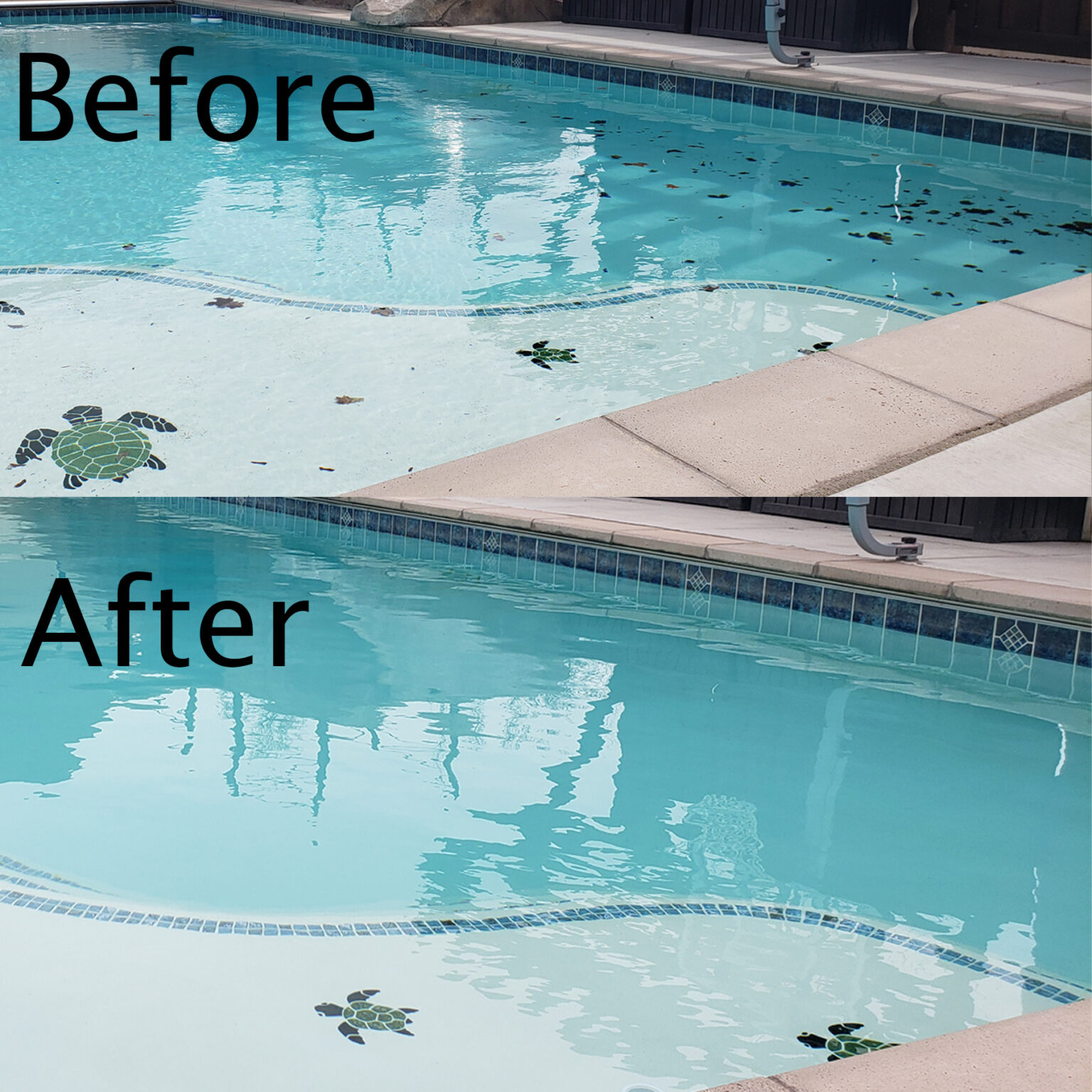Pool cleaning